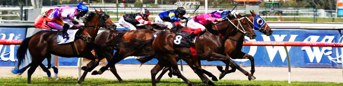 TOUR: Mudgee Melbourne Cup - Aldinga Tours